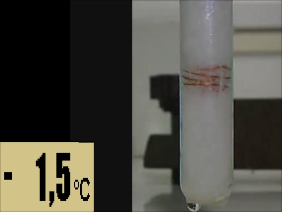 PodEduc - [5eme] [Chimie] Fusion De L'Eau