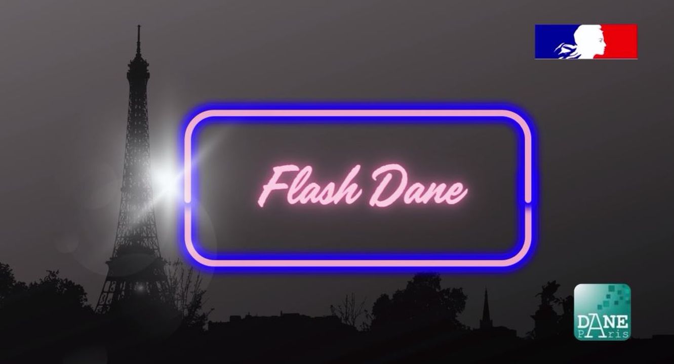 PodEduc - Flash Dane#2 Le Plan Académique De Formation…