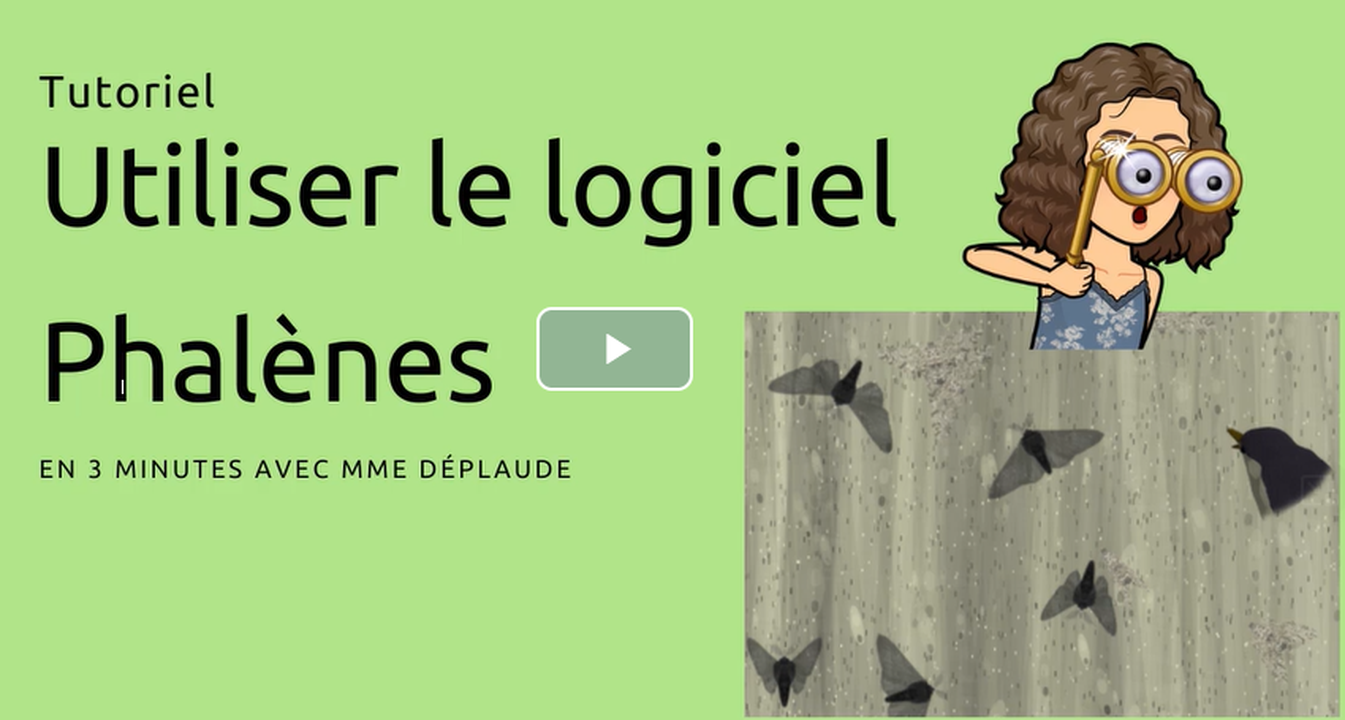 PodEduc - Tutoriel Activité Sur Le Logiciel Phalène.Mp4
